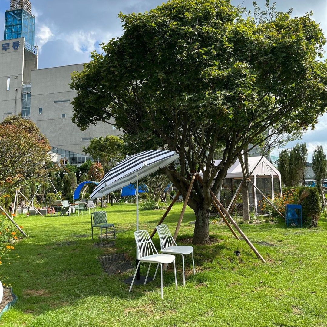 헤이블루 - 신부넷